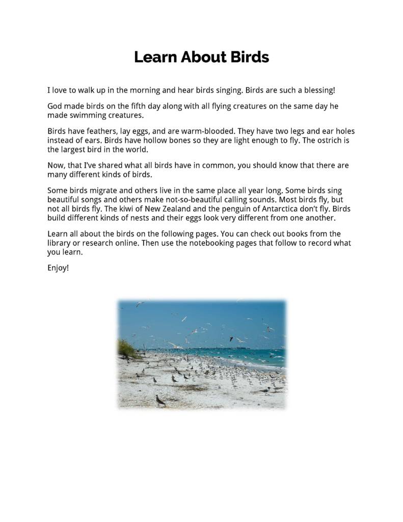 12 Birds of North America – Powerline Productions