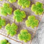 12 Fun Ways to Learn about Patrick and Celebrate St. Patrick’s Day ...