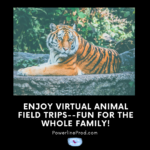 Enjoy Virtual Animal Field Trips–Fun for the Whole Family! – Powerline ...