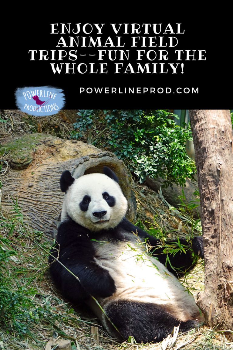 Enjoy Virtual Animal Field Trips–Fun for the Whole Family! – Powerline ...