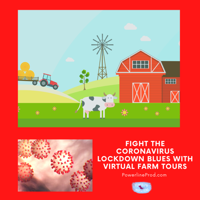 Fight the Coronavirus Lockdown Blues with Virtual Farm Tours ...