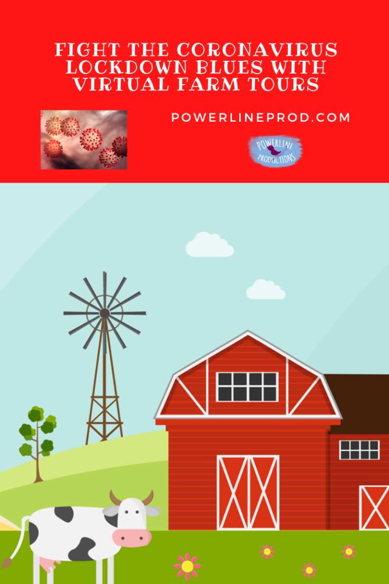 Fight the Coronavirus Lockdown Blues with Virtual Farm Tours ...