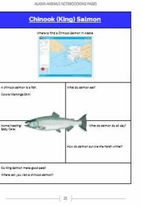 Alaska Animals Notebooking Pages – Powerline Productions