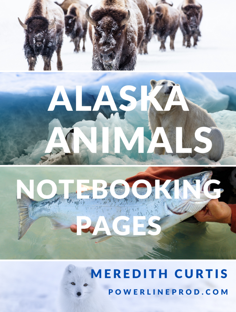 Alaska Animals Notebooking Pages – Powerline Productions