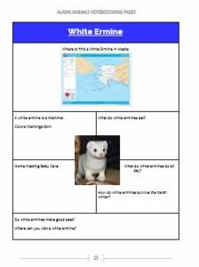 Alaska Animals Notebooking Pages – Powerline Productions