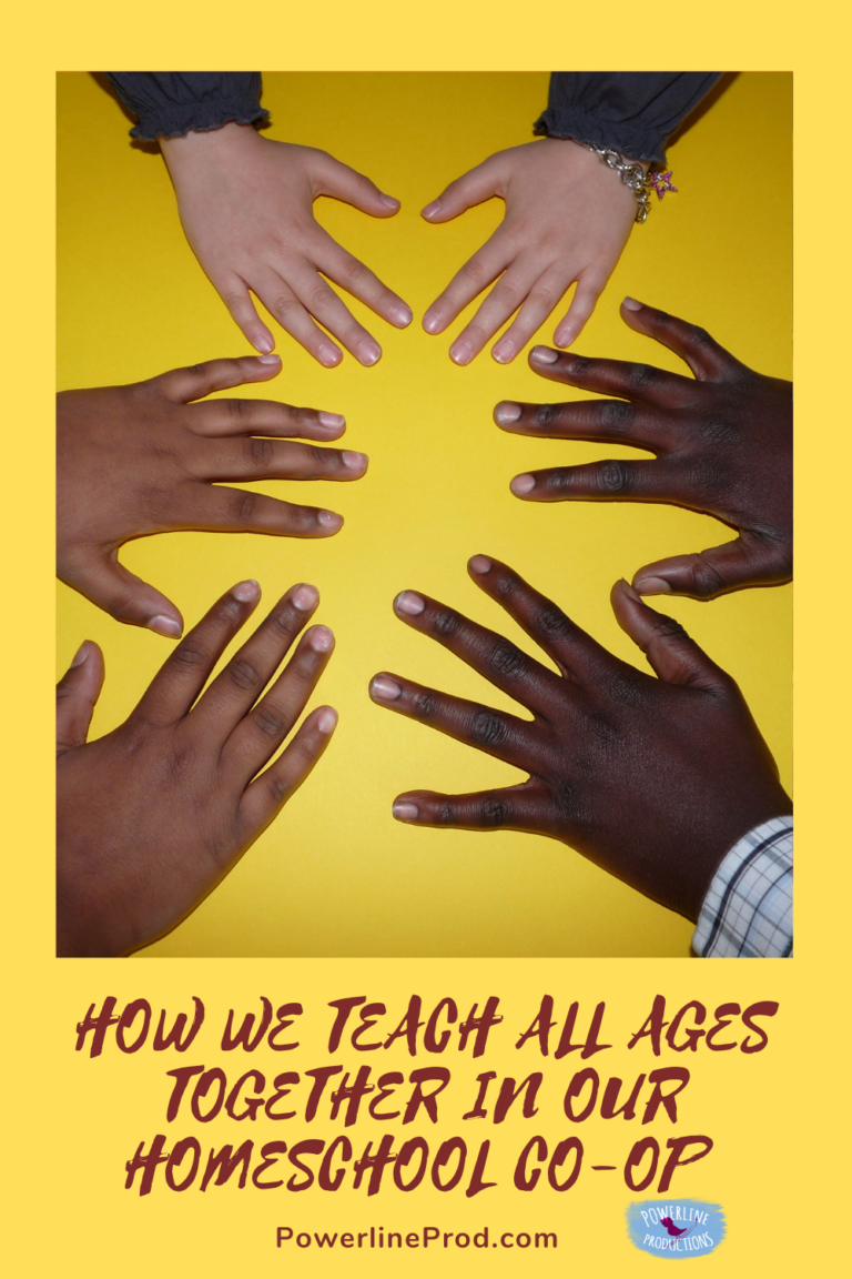How We Teach All Ages Together In Our Homeschool Co-op – Powerline ...