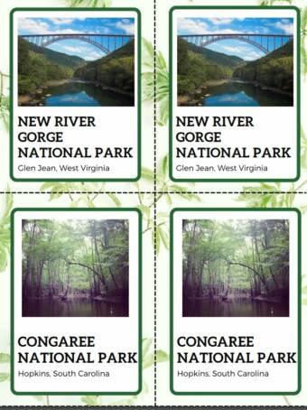 God Bless the USA National Parks Memory Game – Powerline Productions