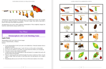 Science Exploration in Creation Week – Powerline Productions