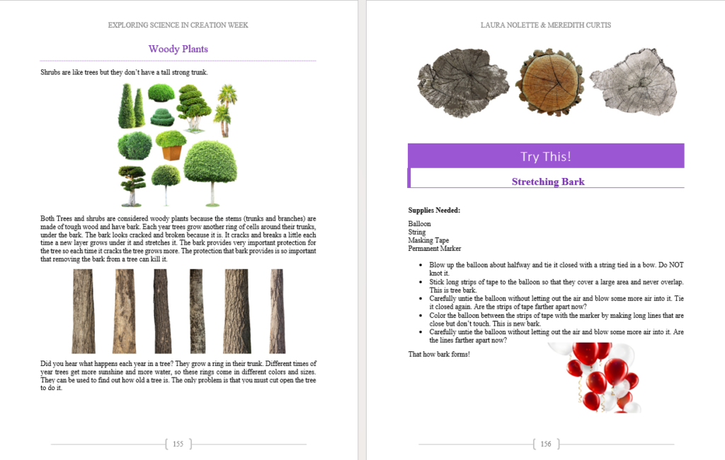 Science Exploration in Creation Week – Powerline Productions